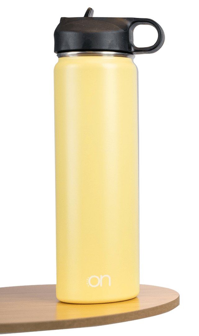 Termo 650